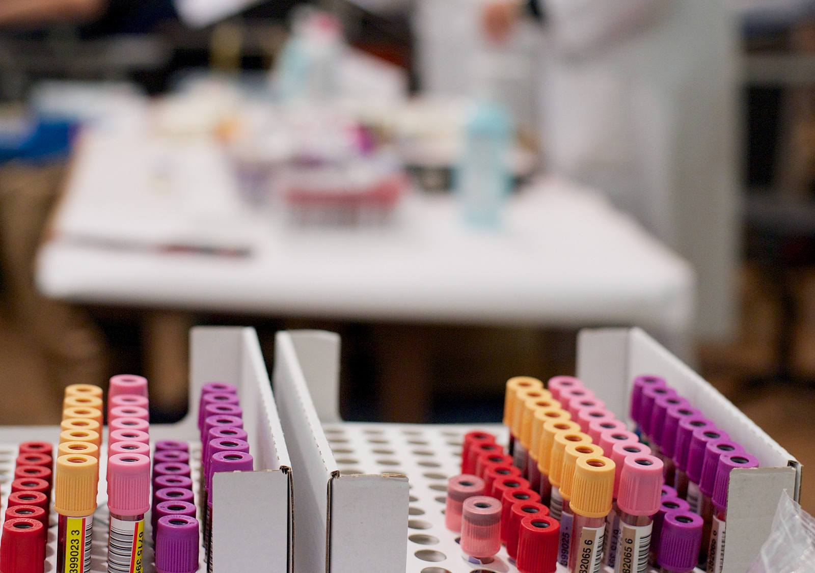 Le sang: ses composants et ses multiples fonctions