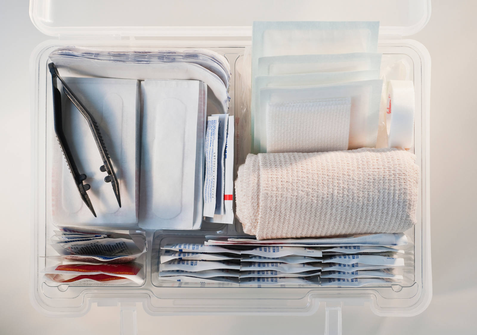 Le sang: ses composants et ses multiples fonctions