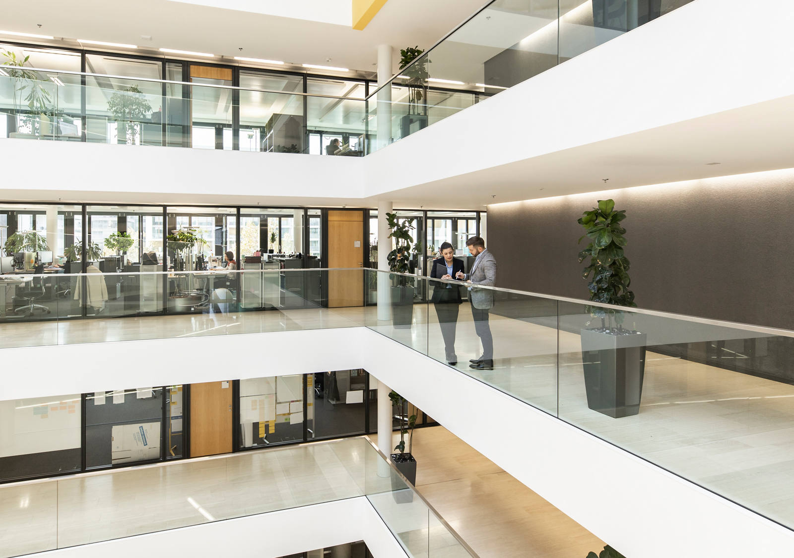 All about the CSS Group