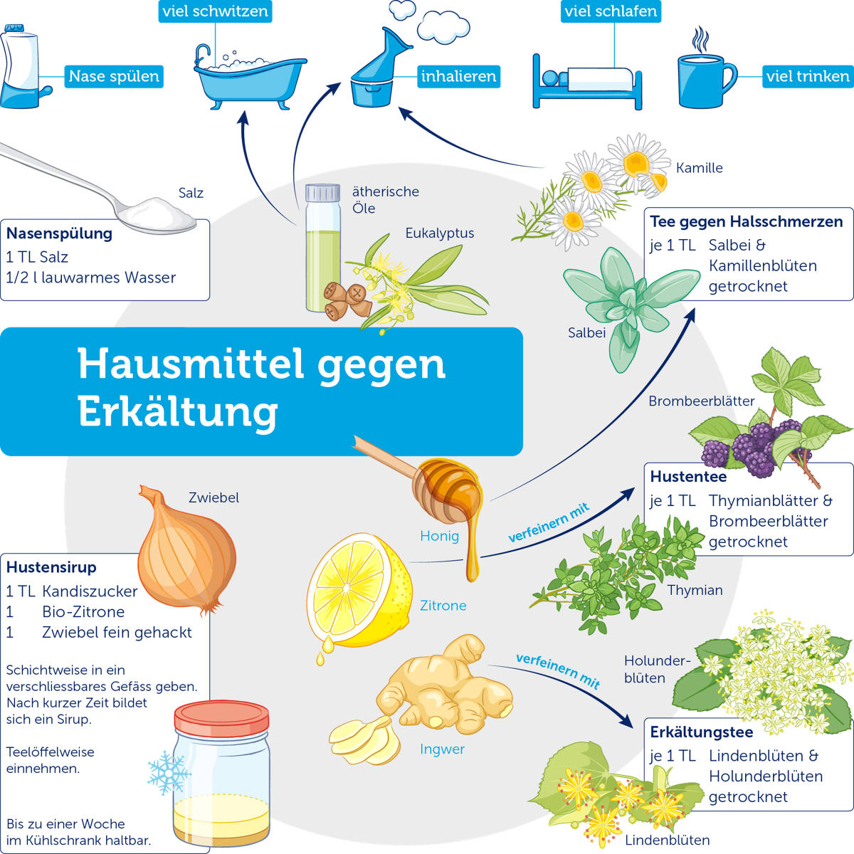 Schone Krauter Gegen Erkaltung Ebenbild
