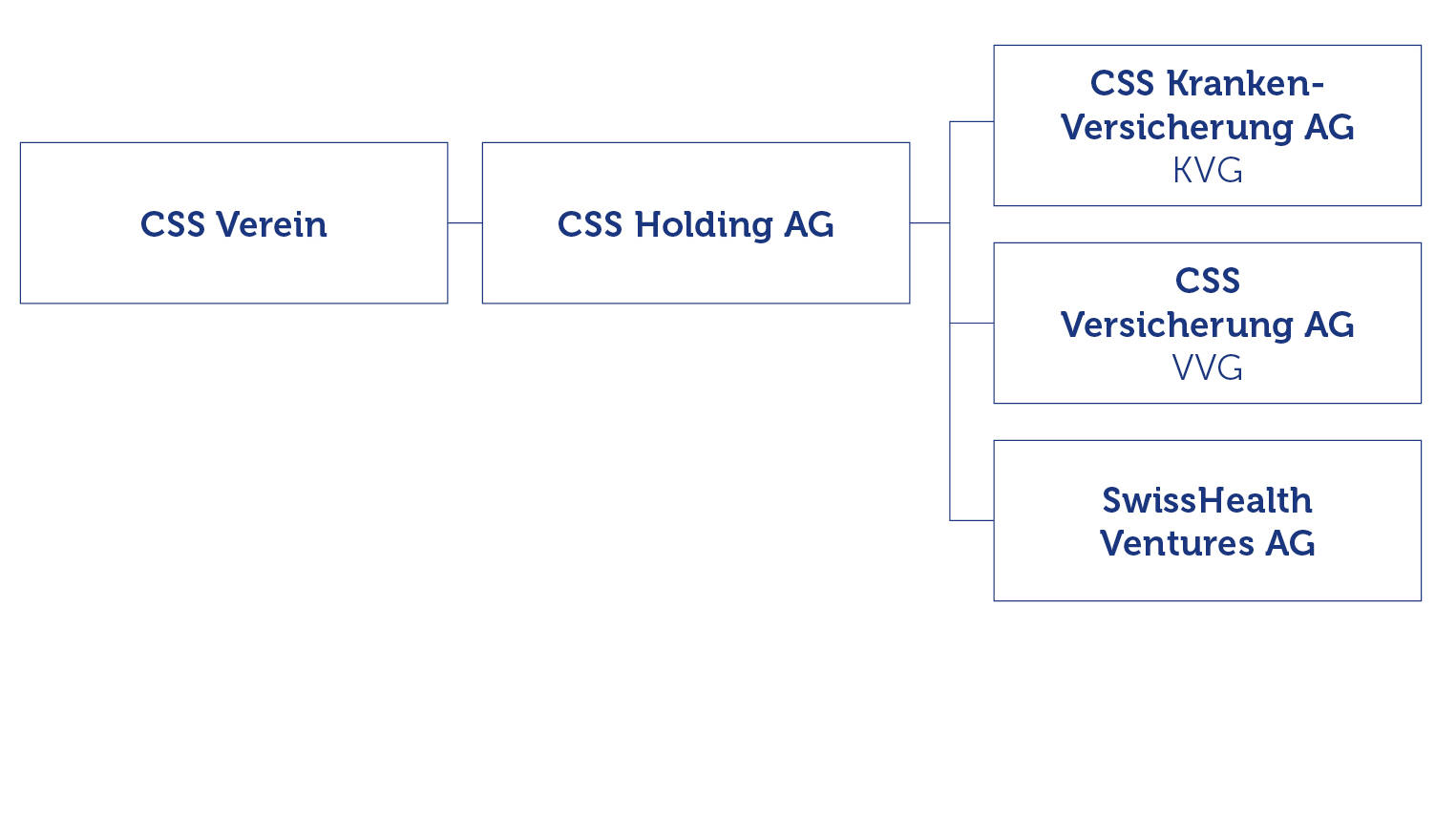 CSS Gruppe – Kurzprofil und Organigramm CSS Gruppe – Kurzprofil und Organigramm