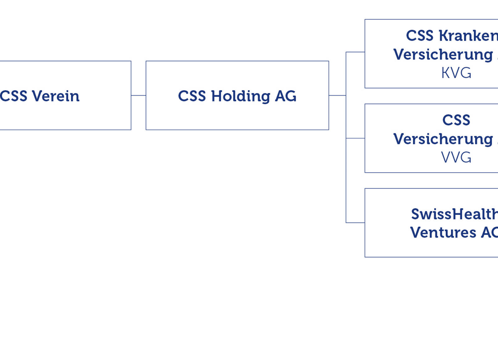 Css Group Short Profile And Structure