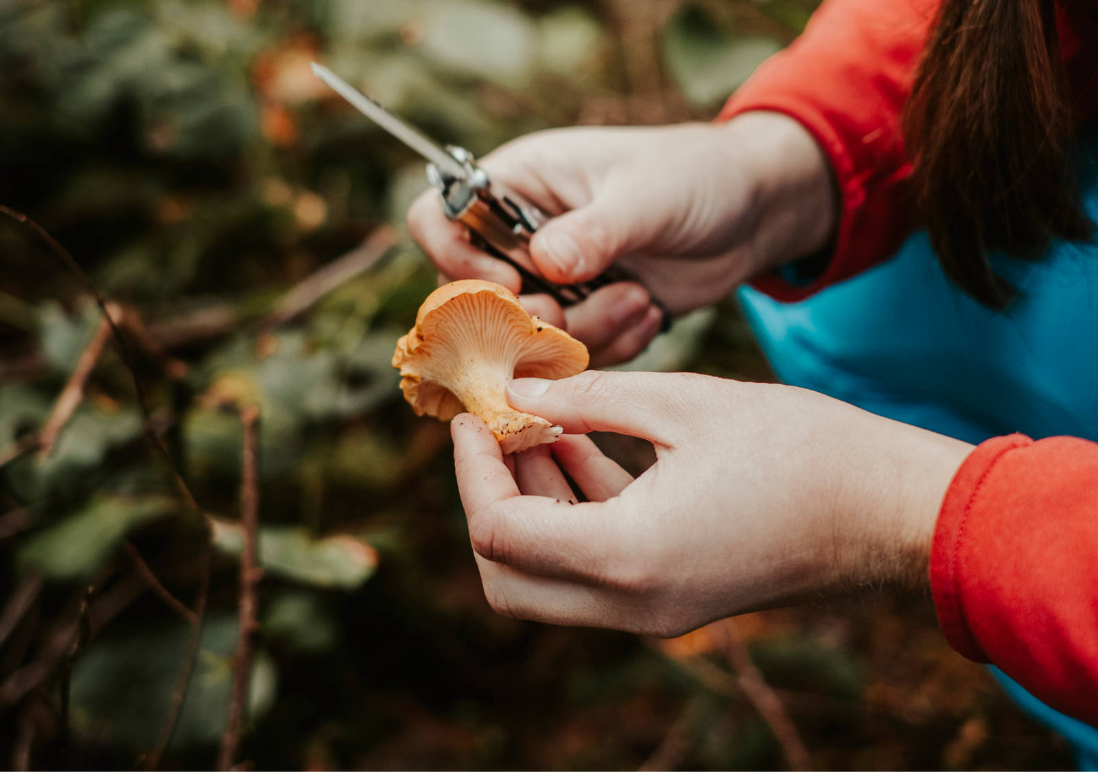 Mushrooms & digestion: why mushrooms are tough on the stomach